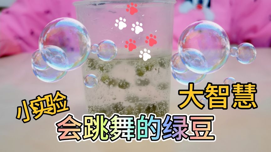 小实验大智慧《会跳舞的绿豆》小苏打加白醋太神奇了!陪娃试试吧