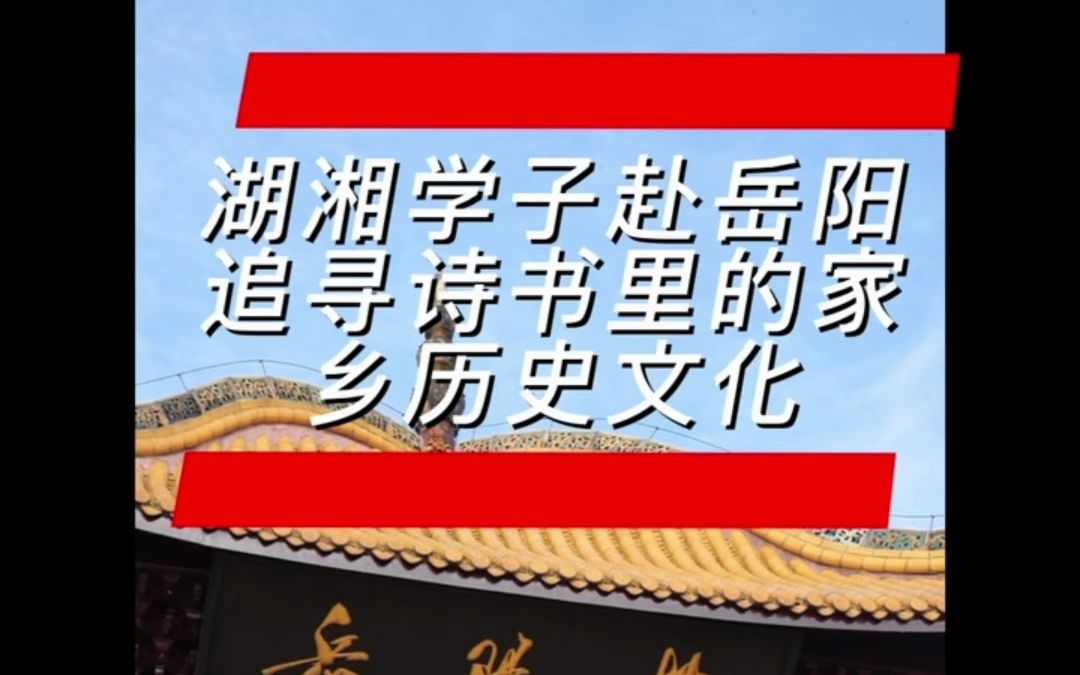 没人告诉你其实大学生社会实践可以非常有意思吗?社会实践vlog之...