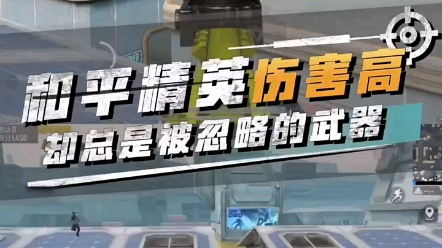 和平精英游戏中伤害高却总是被忽略的武器,你知道吗?_哔哩哔哩bilibili...