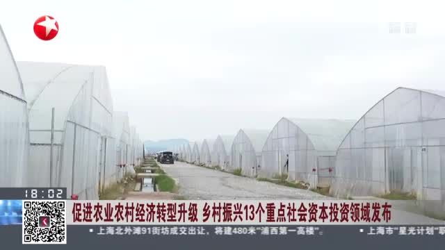 促进农业农村经济转型升级 乡村振兴13个重点社会资本投资领域发布