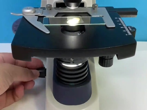 微观探秘之旅:揭示显微镜下那些鲜为人知的奇妙生物