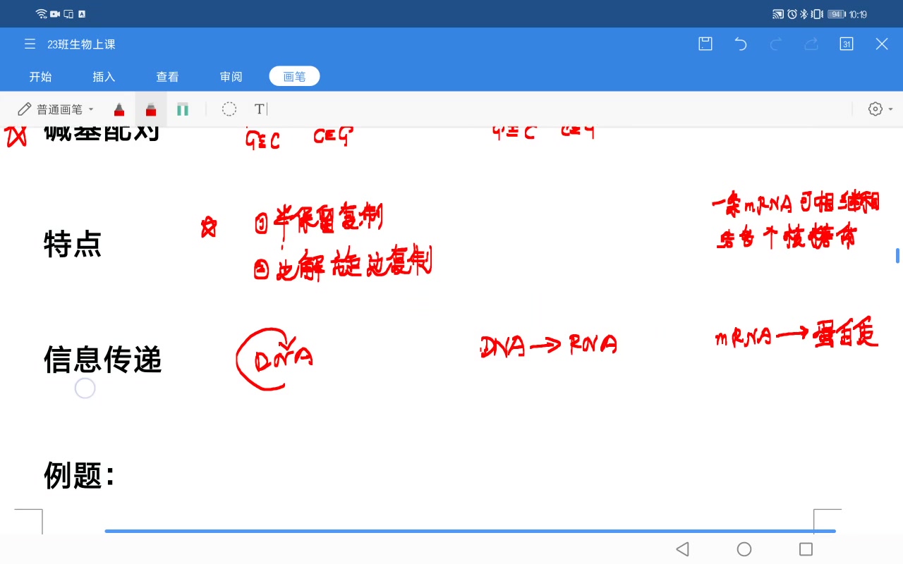 基因的表达习题讲解