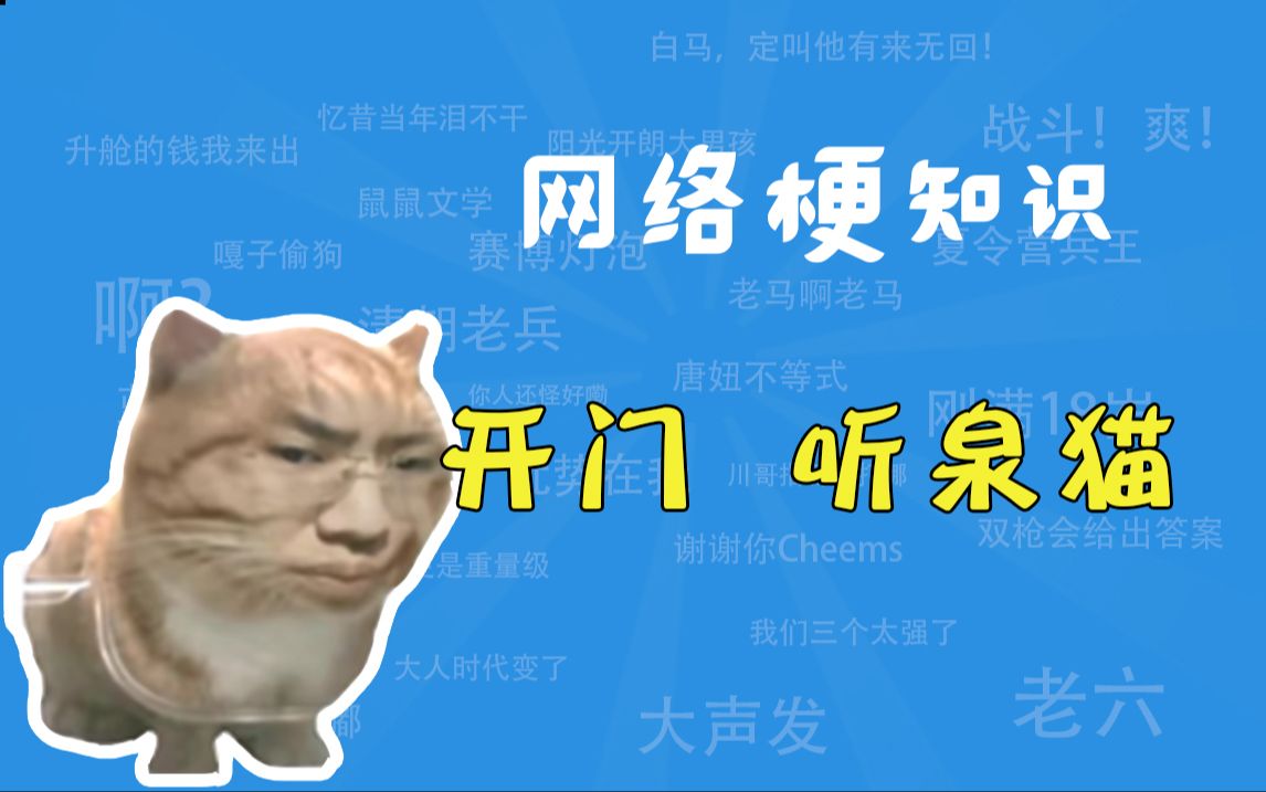 开门是什么梗? 听泉猫是什么梗?【网络梗知识】
