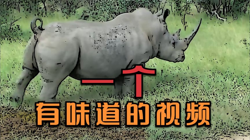 事实证明:拉肚子那天,不要相信任何一个屁,不然就会变成这样!