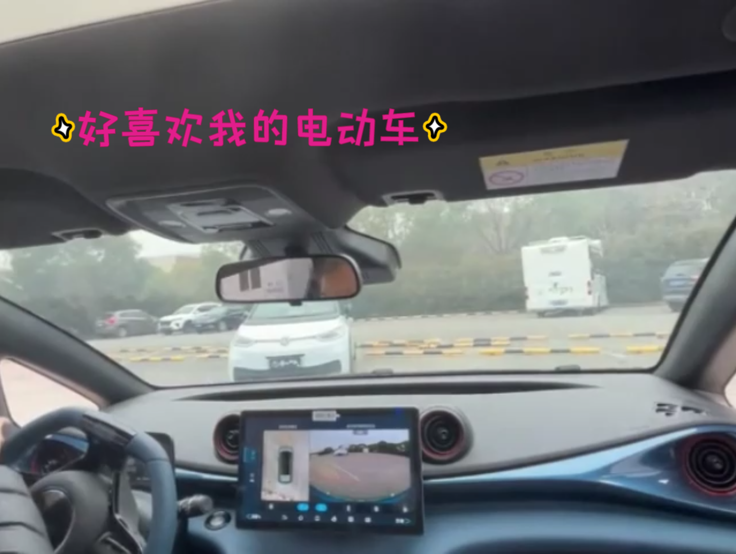 《好喜欢我的电动车》试驾比亚迪海豚精品纯电代步车,配置空间质感...