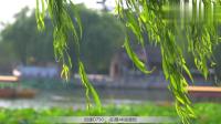 尼康D7500视频教程——视频拍摄解决方案|尼康D7500说明书第1集