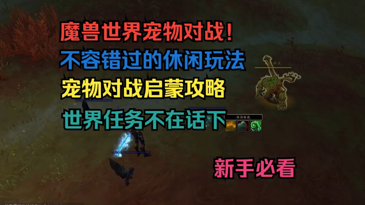 【魔兽世界宠物对战】新手启蒙!轻松有趣的宠物对战玩法,你也想成为...