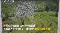蚕桑职业技能竞赛展绝技 蚕丝作画乱针绣田园风光