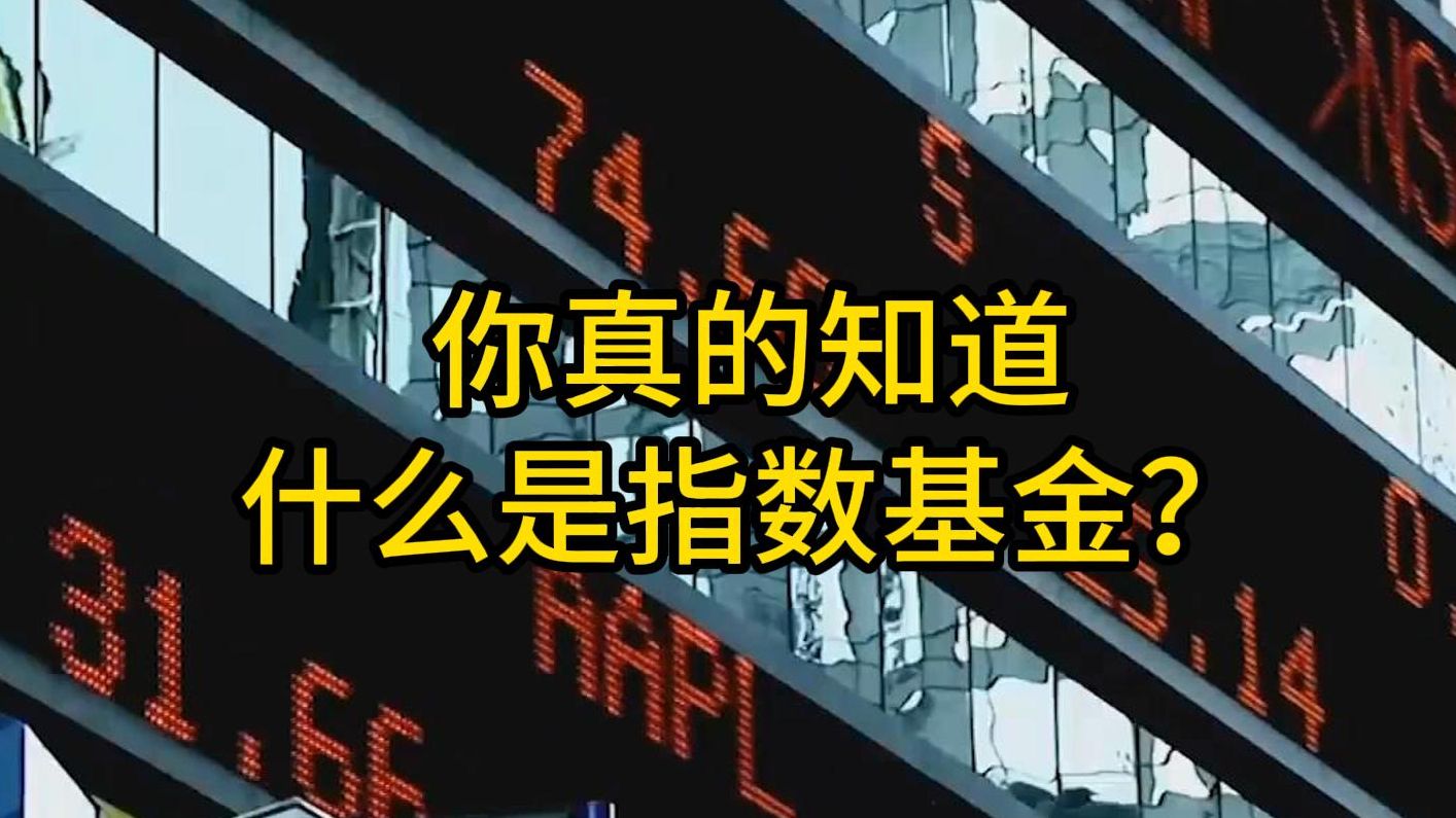 【Liszt】什么是指数基金?