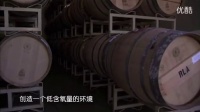专家详解软木塞