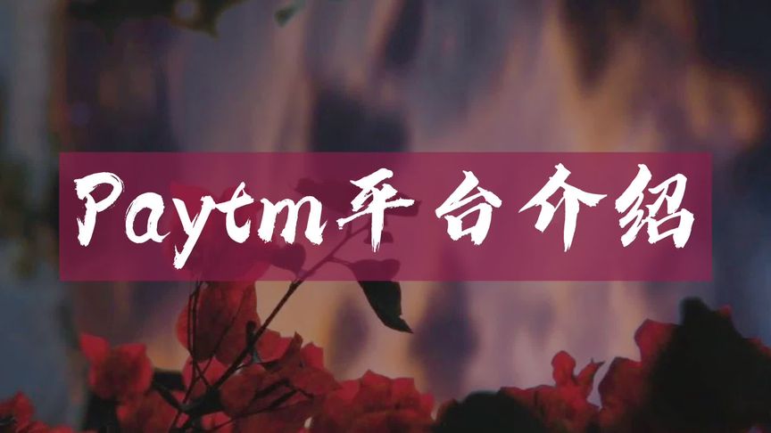 跨境电商Paytm平台介绍