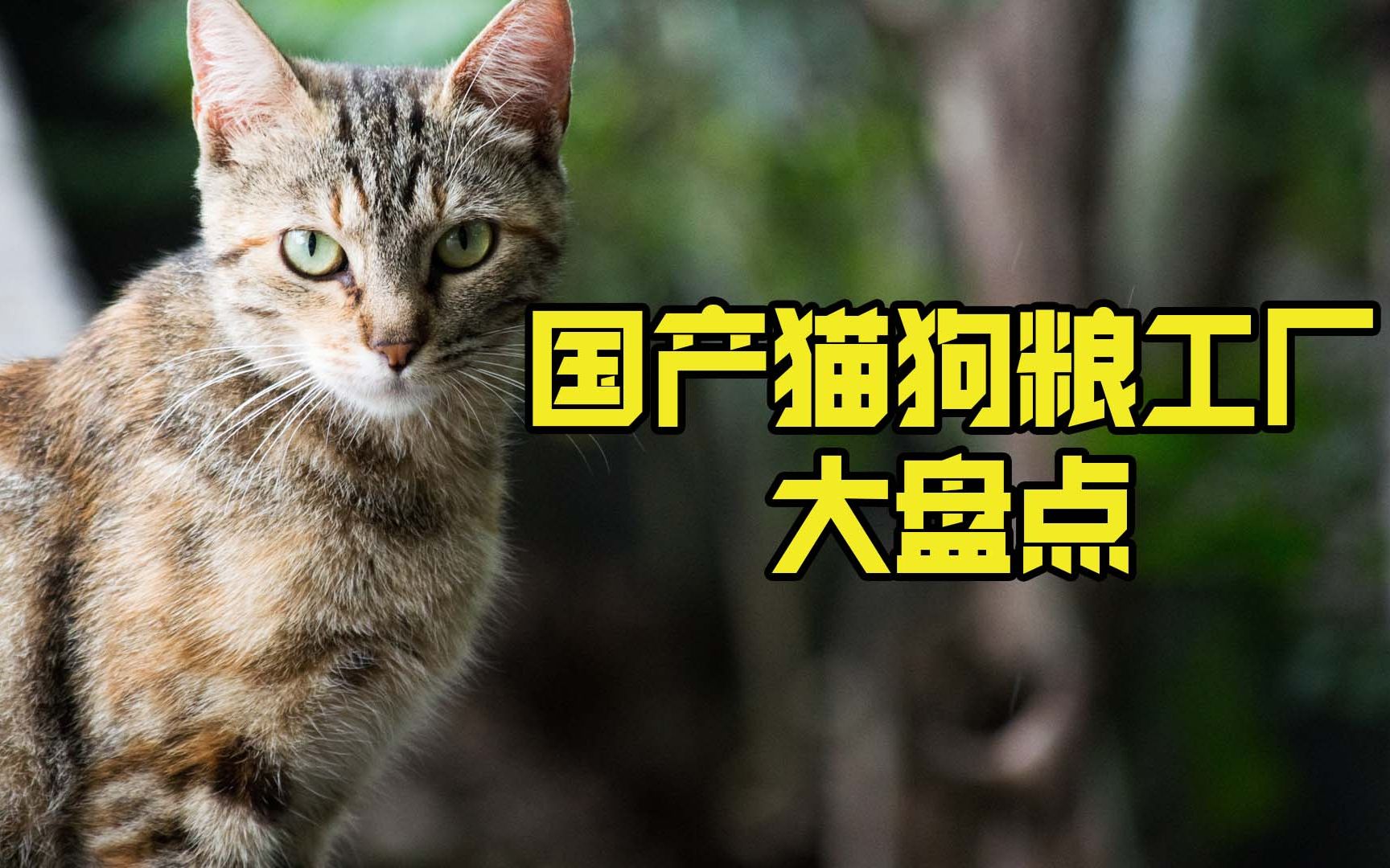 国产猫狗粮工厂大盘点,这些猫粮狗粮都是同一家工厂生产的