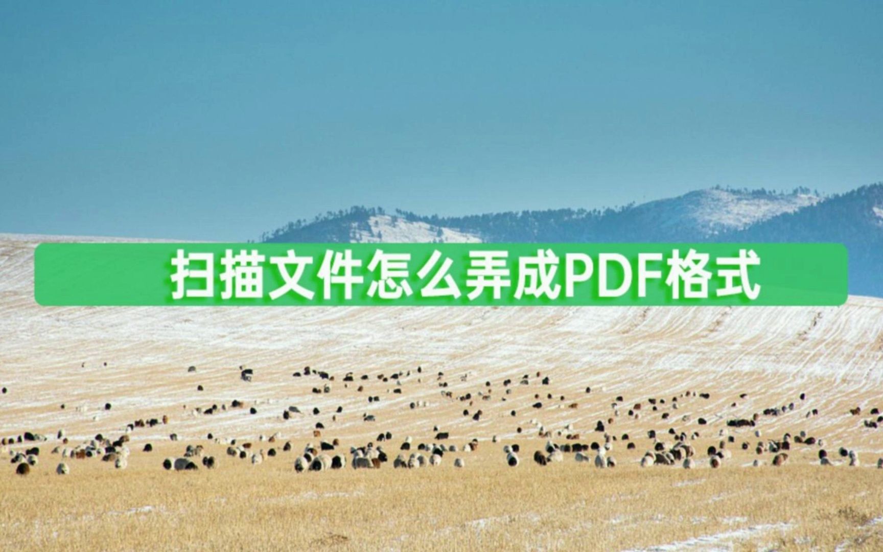 扫描文件怎么弄成PDF格式?扫描的好方法