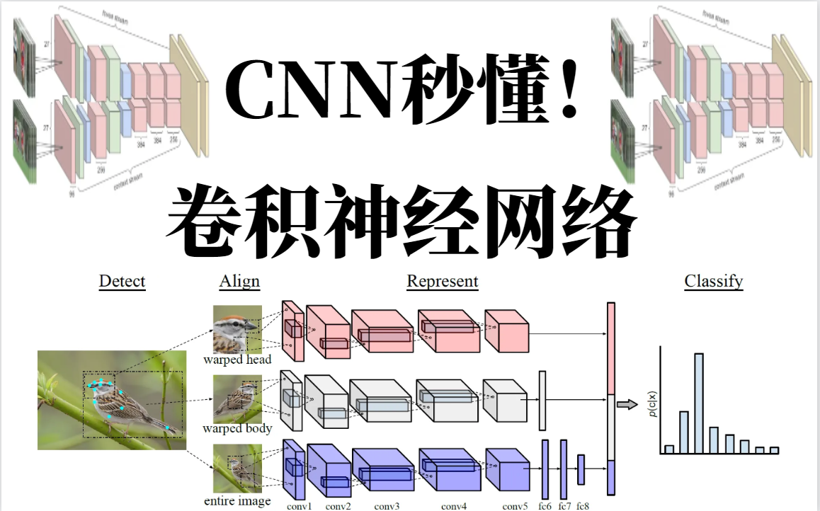 口碑之作!计算机博士全力打造的【卷积神经网络】课程分享,简直比刷...