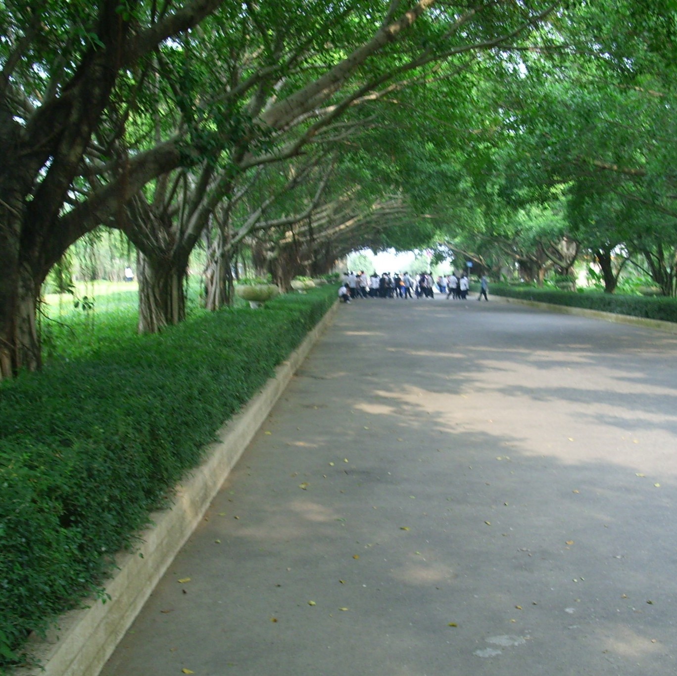 物理老师泰格 