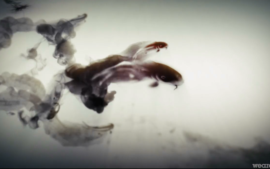 【C4D&CG动态设计】水墨(中国风)参考片系列(不断更新)