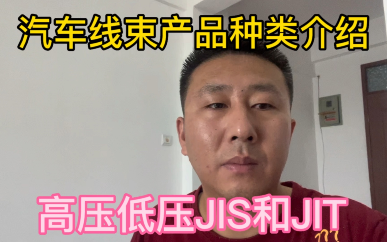 汽车线束产品种类介绍,高压和低压线束,JIS和JIT区别。