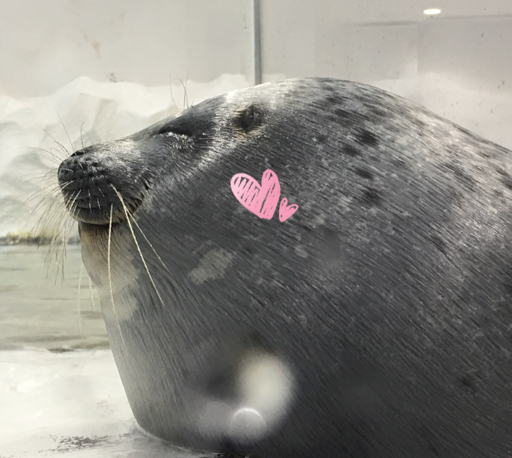 biubiubiubiu全力少年 