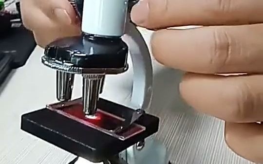 显微镜C-501儿童款 京东百付玩具店