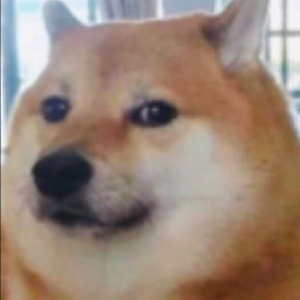 yutrs 