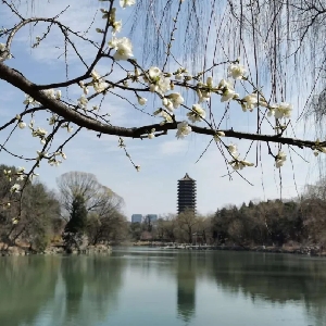 兴林老师 