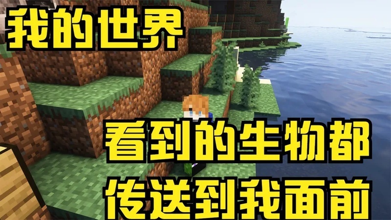 我的世界数据包生存:看到的生物都传送到我面前1