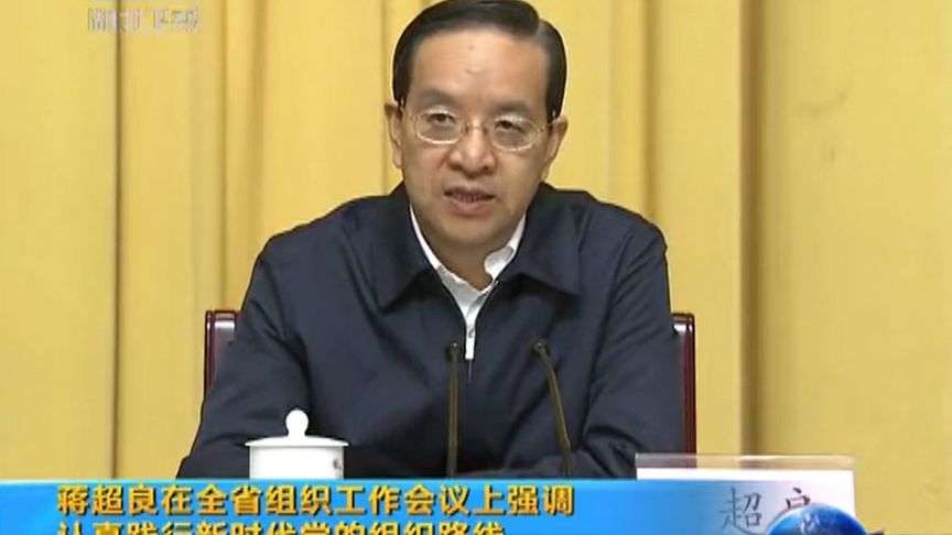 蒋超良:认真践行新时代党的组织路线 开创湖北组织工作新局面