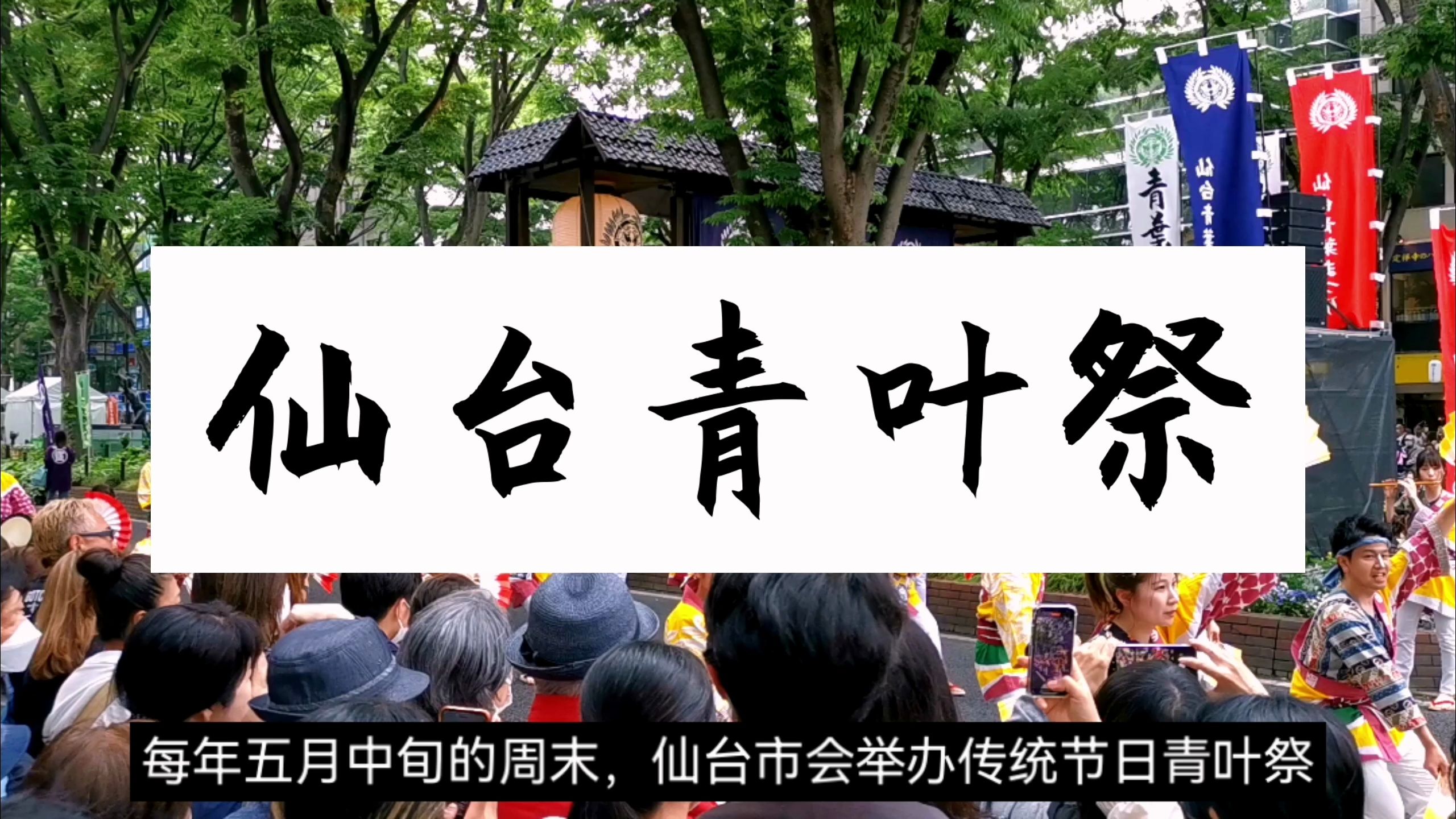 离谱!小小仙台竟然有2万人参加100人参观的传统节日青叶祭?