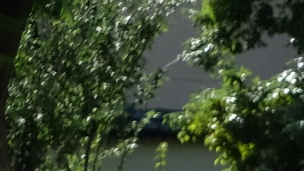 哈啰单车城市经理刀割70辆美团单车坐垫被拘