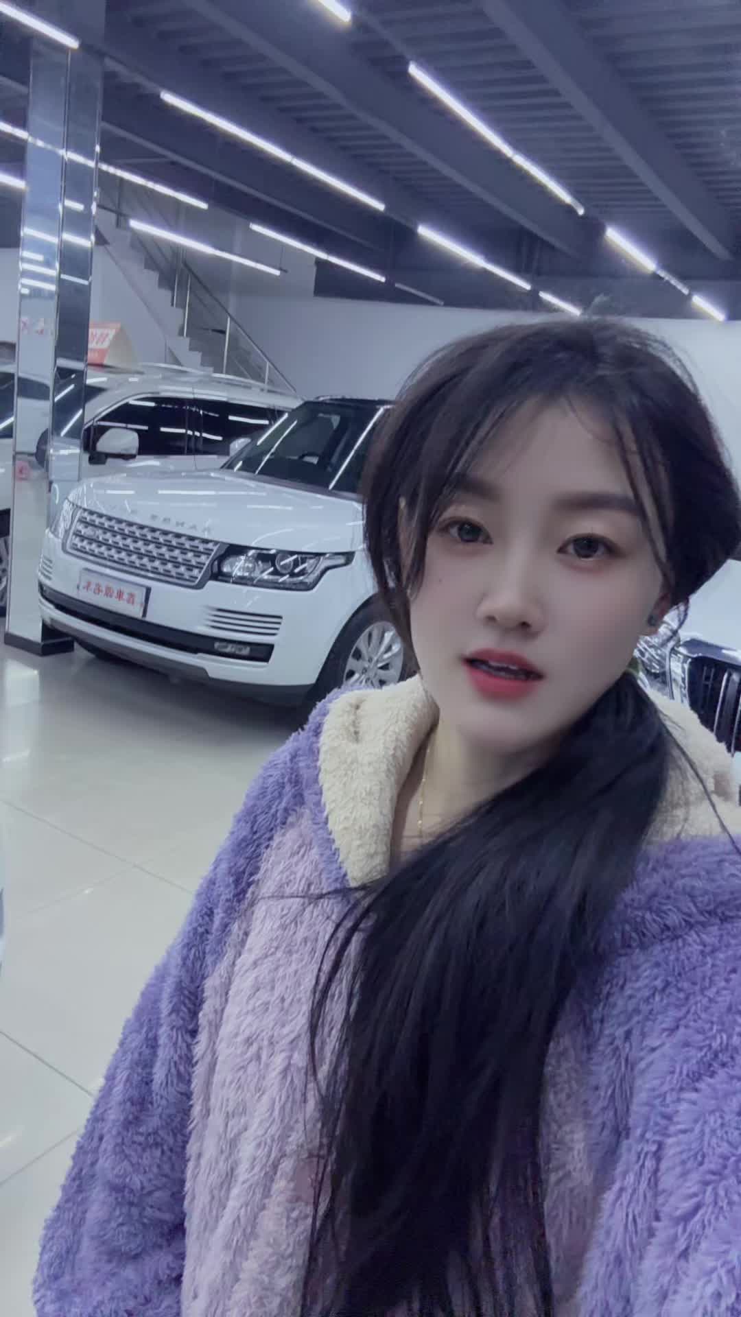 ...配置到顶,电吸门,全景天窗,底盘升降,英国之宝音响,方向盘加热,分段式...