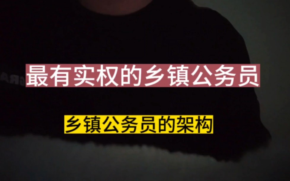 最有实权的乡镇公务员,乡镇公务员的权利架构是怎样的?