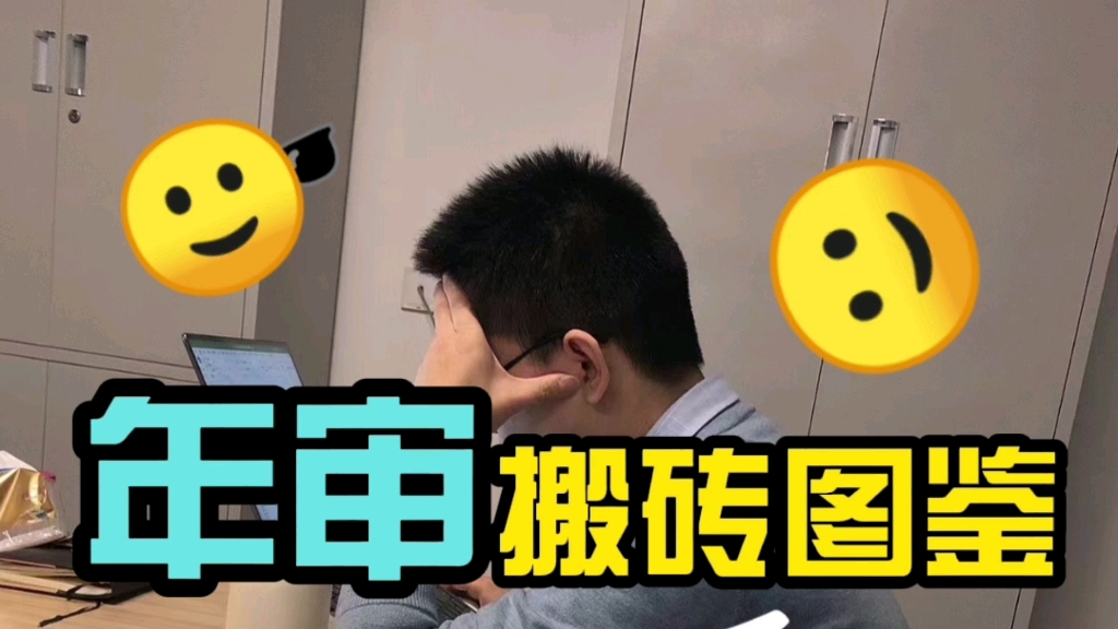 审计人年审搬砖图鉴