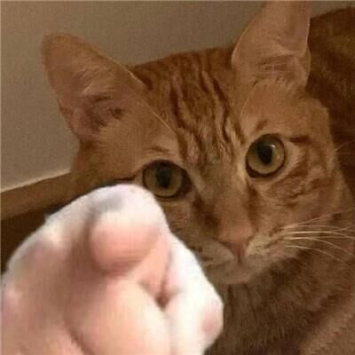 鸭子很凡 