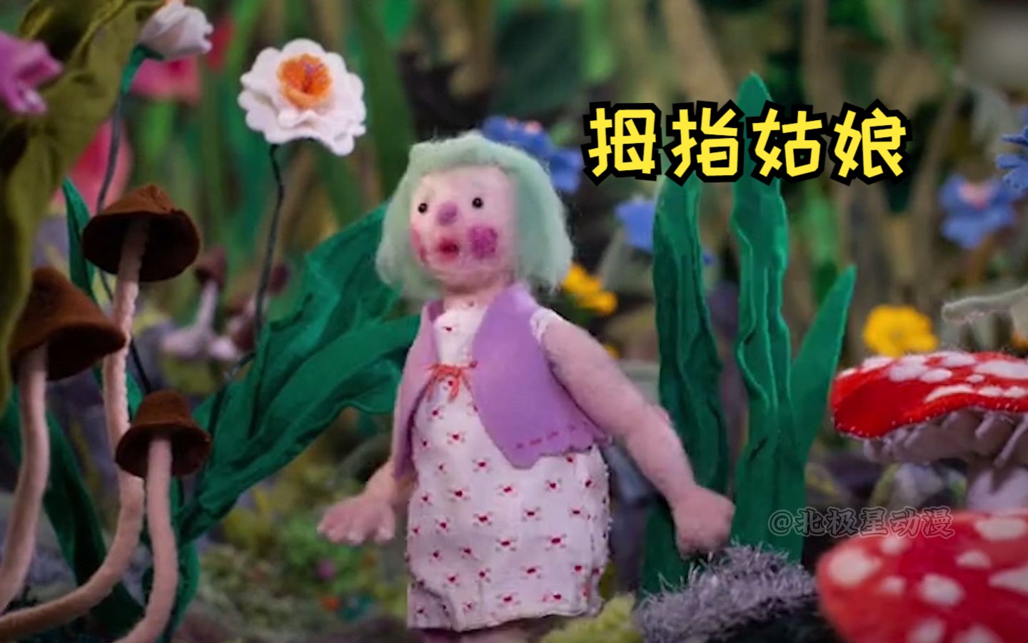 羊毛毡版定格动画《拇指姑娘》我不允许你没看过