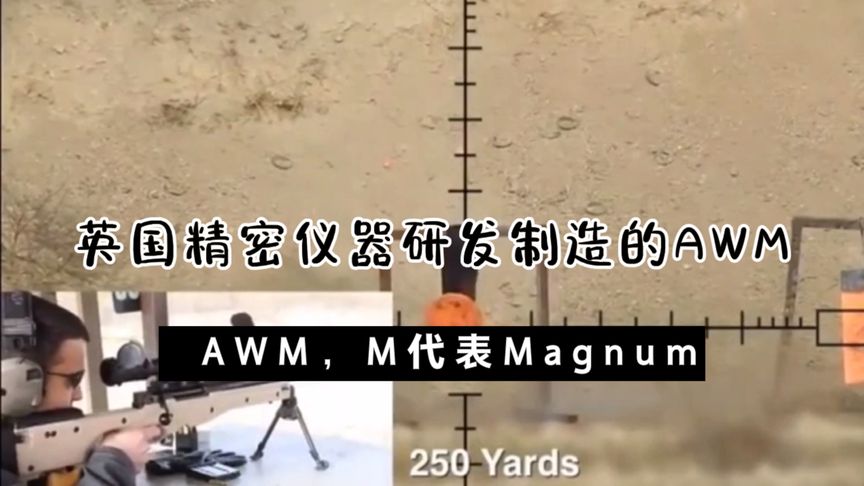 看看AWM狙击步枪,不同距离的射击精度!弹无虚发…