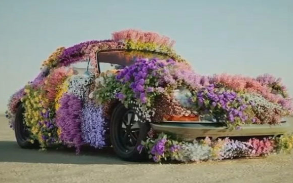 【C4D教程】C4D域生长动画高级案例,汽车鲜花盛开动画【中英字幕...