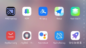 请问为什么寄生管理器显示已安装但是安装的apk管理器显示没安装...