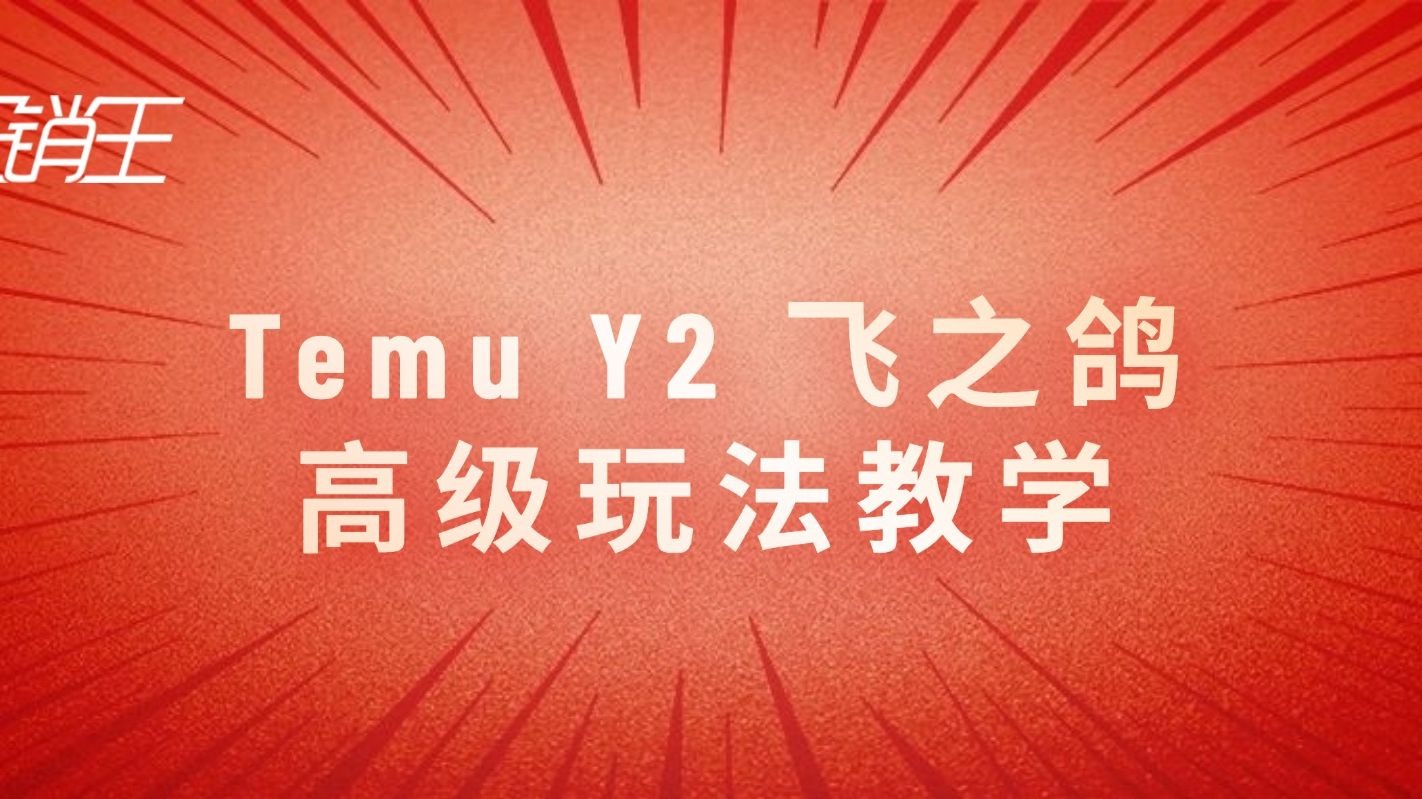 Temu Y2 飞之鸽高级玩法教学