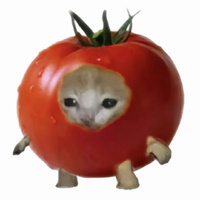 番茄猫meme小剧场