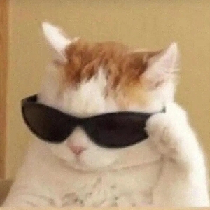 up小熊猫 