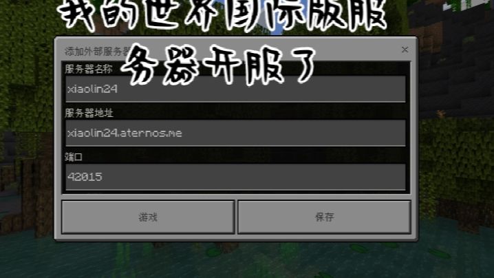 我的世界国际服服务器开服了#minecraft