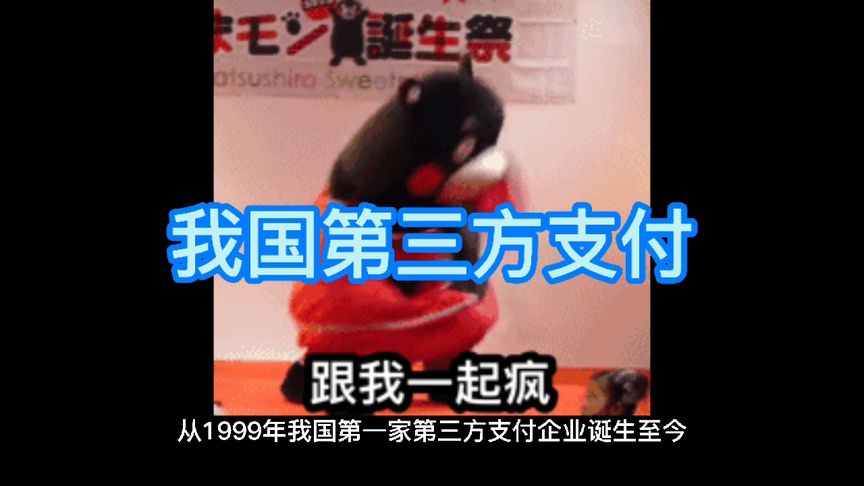 我国第三方支付