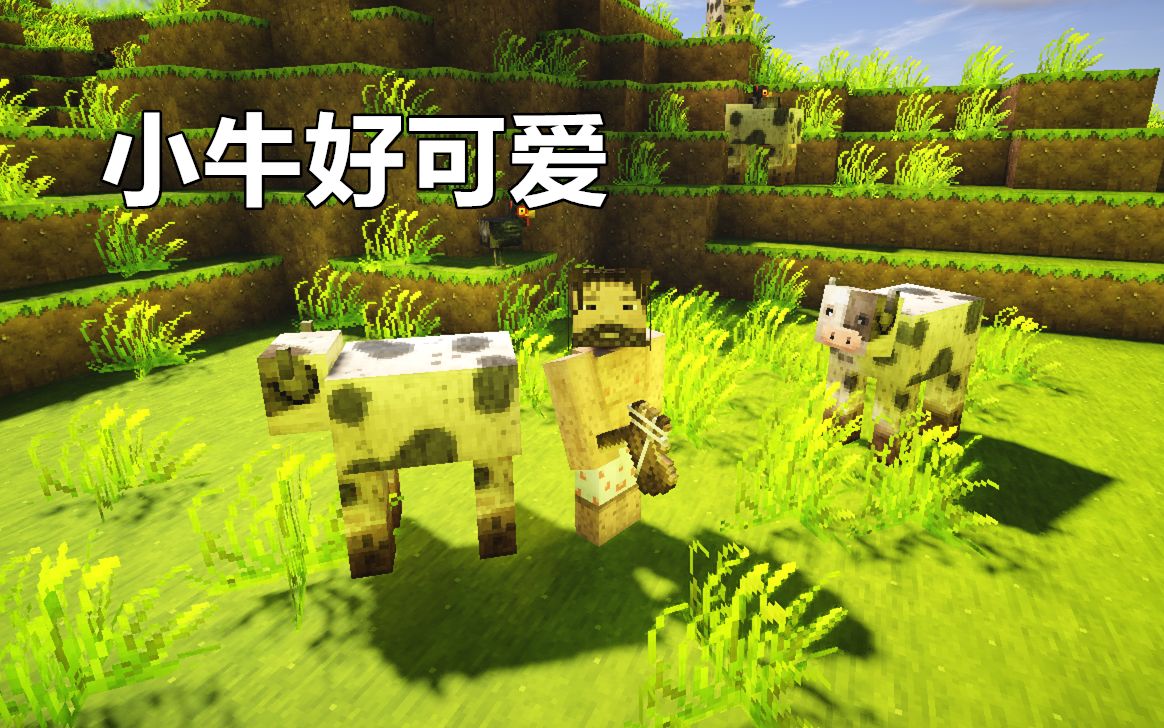 我的世界 暗墨生存记 01 回家了真好小牛好可爱
