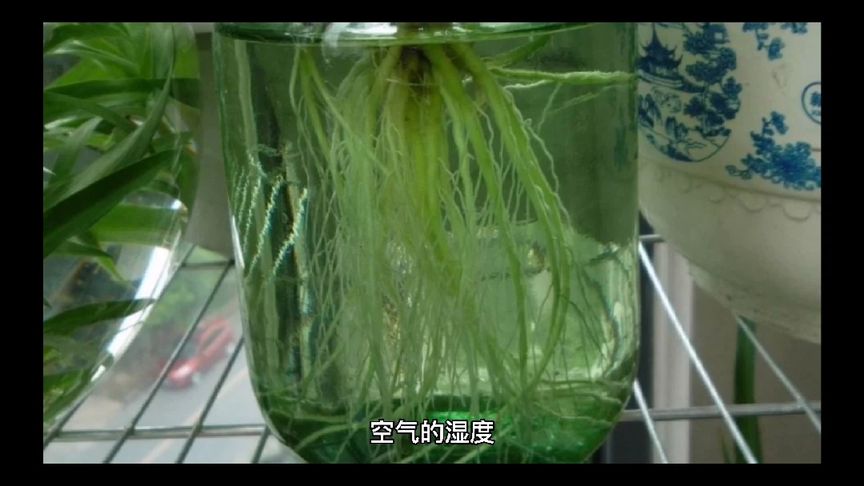 物理概念——空气的湿度