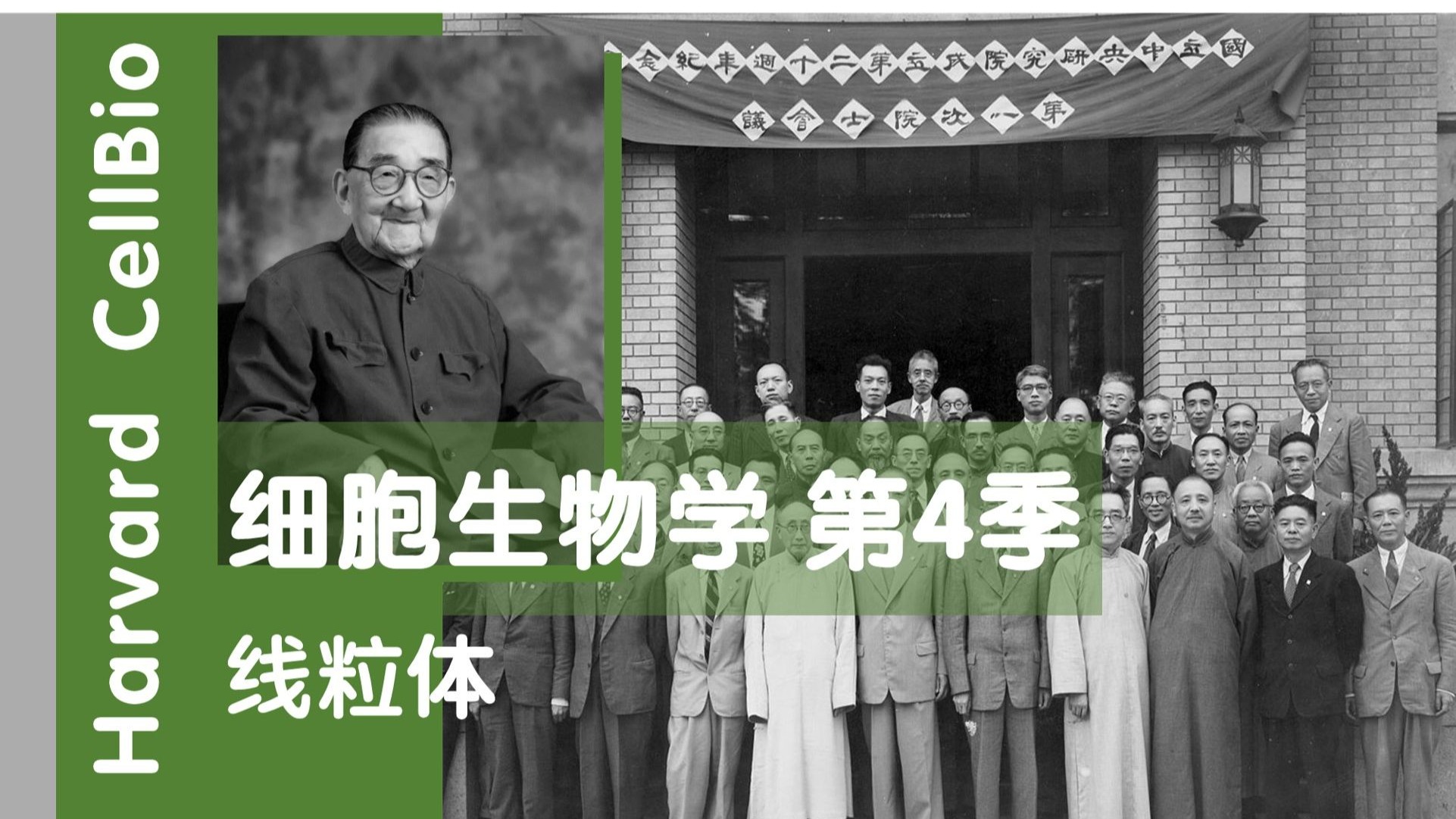 细胞生物学 第4季 线粒体