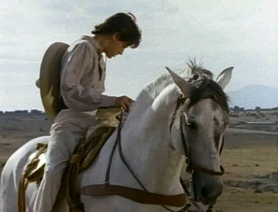 佐罗最经典的电视剧版本收藏