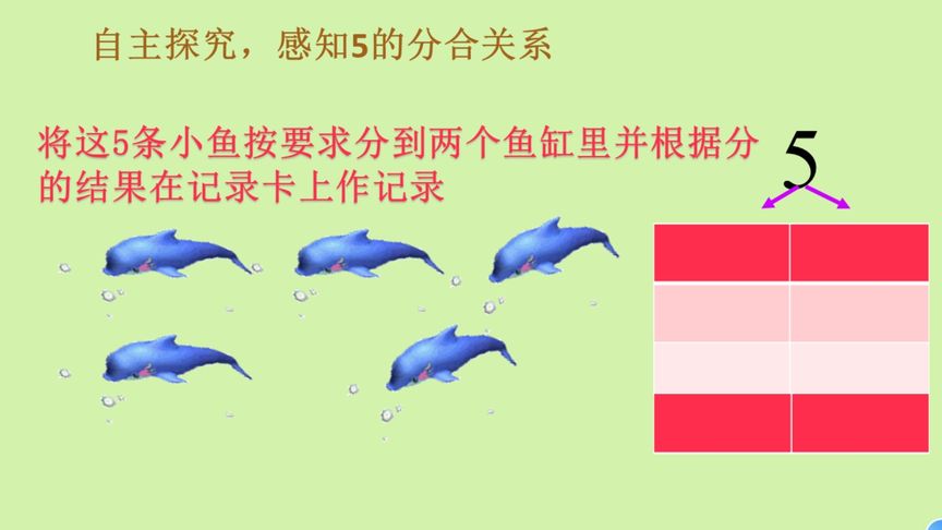 3-6岁幼儿思维训练-数字5的分解与组成,培养幼儿对数字认知!