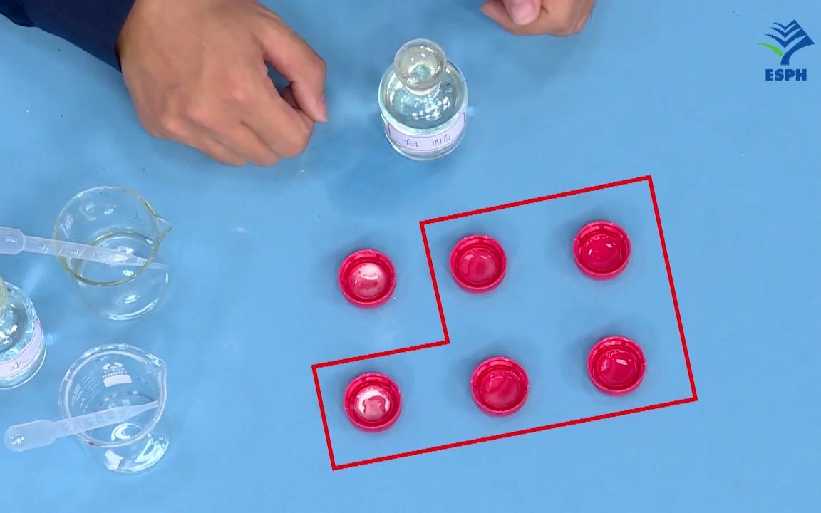 教科版六下--2观察白砂糖、食盐、小苏打的变化