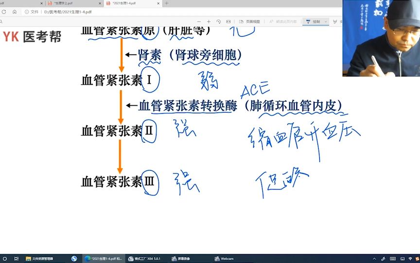 29.体液调节(肾素-血管紧张素系统、心血管活性多肽、动脉血压的长期...