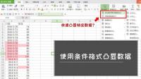 Excel中, 使用条件格式凸显数据, 基础操作技巧, 职场必备!